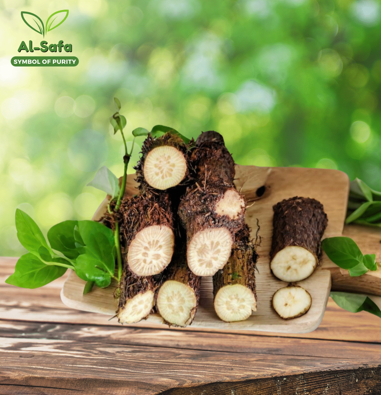 Piper chaba (Chui Jhal) – Al-Safa